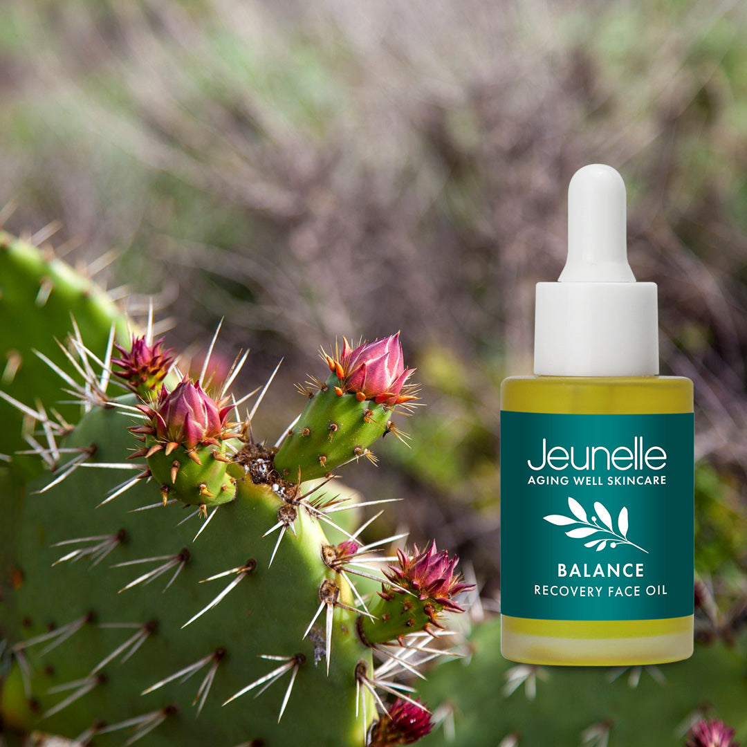 Jeunelle Aging Well Skincare